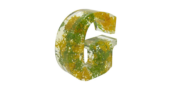 Декоративен елемент буква G